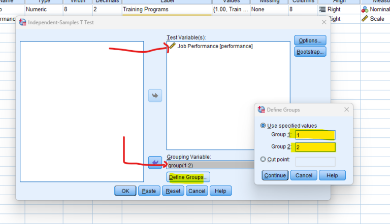 Independent T Test in SPSS - Explained, Performing, Reported