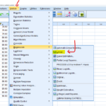 Multiple Linear Regression in SPSS - Explained, Performing, Repor