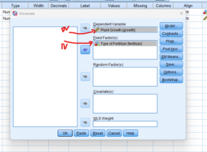 Univariate Analysis in SPSS - Explained, Performing, Reported
