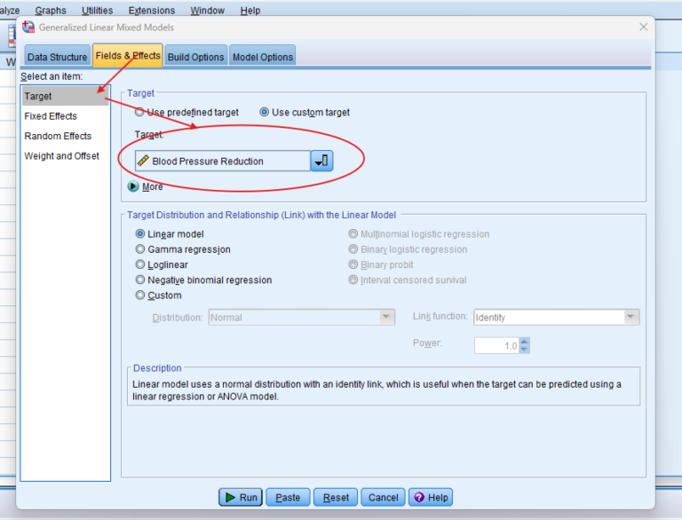 Generalized Linear Mixed Model in SPSS - GLMM Explained