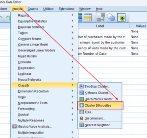 Silhouette Cluster Analysis in SPSS - Explained, Performing, Repor