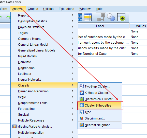 Silhouette Cluster Analysis In Spss Explained Performing Repor