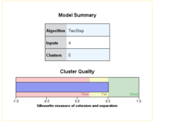 Two-step Cluster Analysis in SPSS - Explained, Performing, Report
