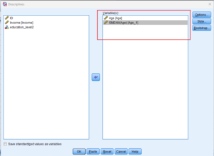 Replacing Missing Values in SPSS - RMV Explained, Performing